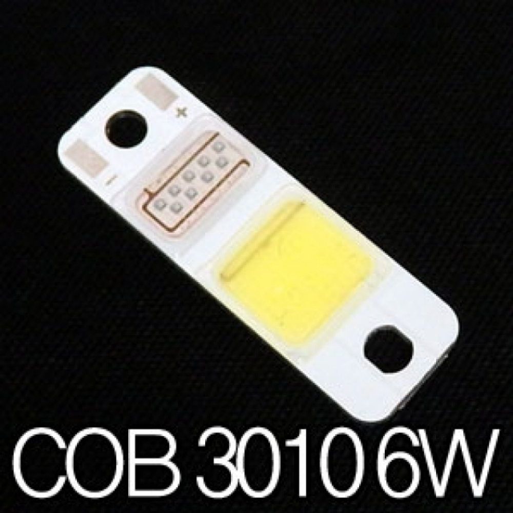 exLED COB LED [ SQ-3010-6W ] 30mm x 10mm (화이트 6000K 6.2W) (정전류 드라이버 IC ...